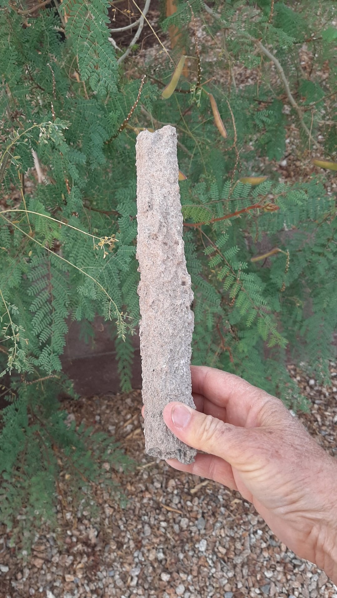 Petrified Lightning Strike Rock,fulgarite Rock, Petrified Sand ...