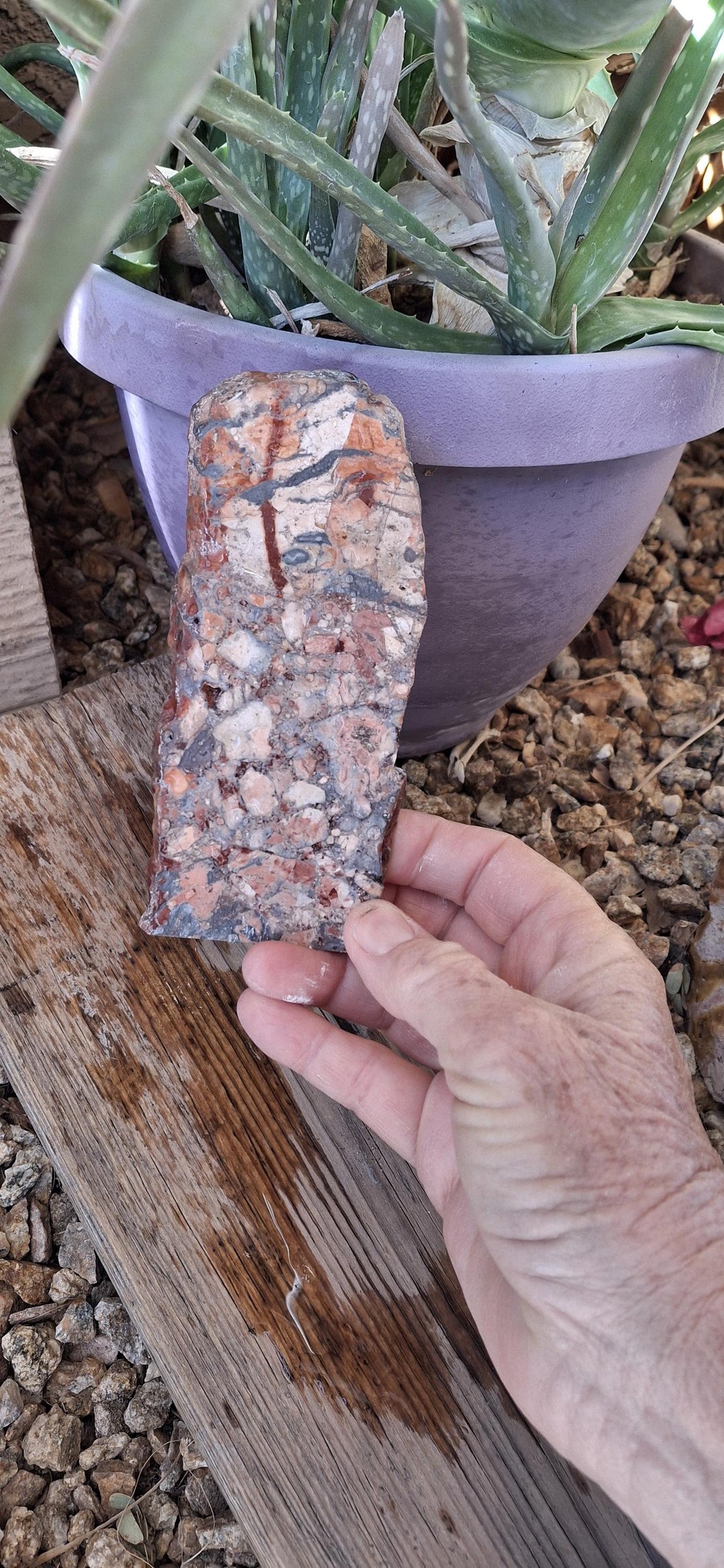 A Rare Rock Slab, Multi Colored Rock Slab, Nice Rock Slice, Cabbing ...