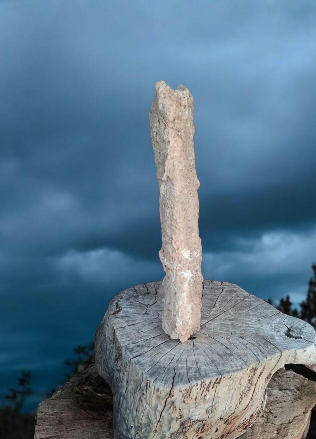 Big 8 " Lightning Strike, Petrified Rock,fulgarite Rock, Petrified Sand ...