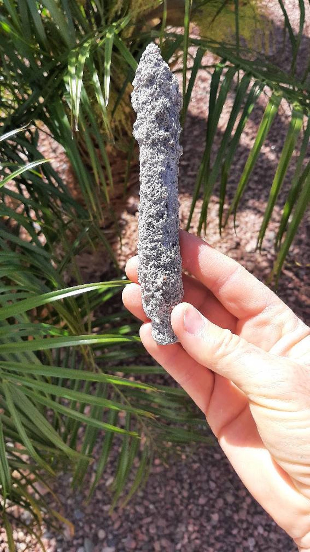 Petrified Lightning Strike, Skinny Petrified Rock,fulgarite Rock ...