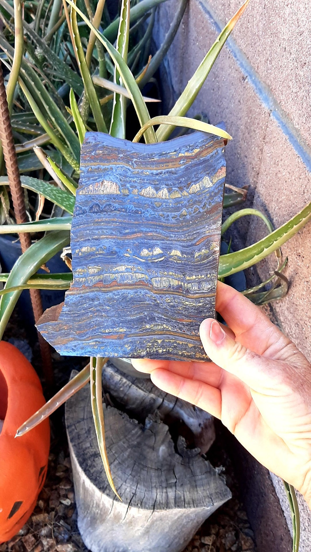 Heavy Tigers Iron Slab, Display Rock Slab or Cabbing Material, Raw Rock ...