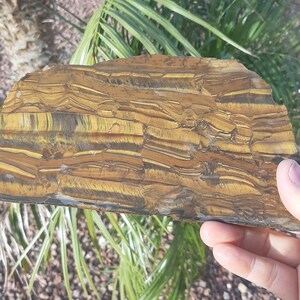 Gorgeous Tigers Eye Slab, Rock Slab, Cabbing Material, Raw Rock ...