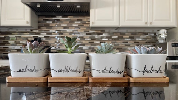 Avatar Last Airbender Plant Pot Individual Pot or Set of 4 - Etsy