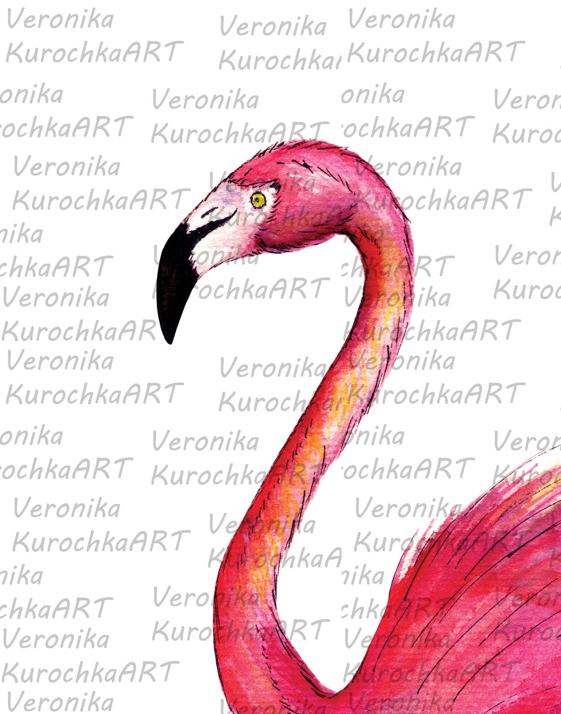 Watercolor Flamingo Clipart, Tropical Clipart, Pink Flamingo, Children ...
