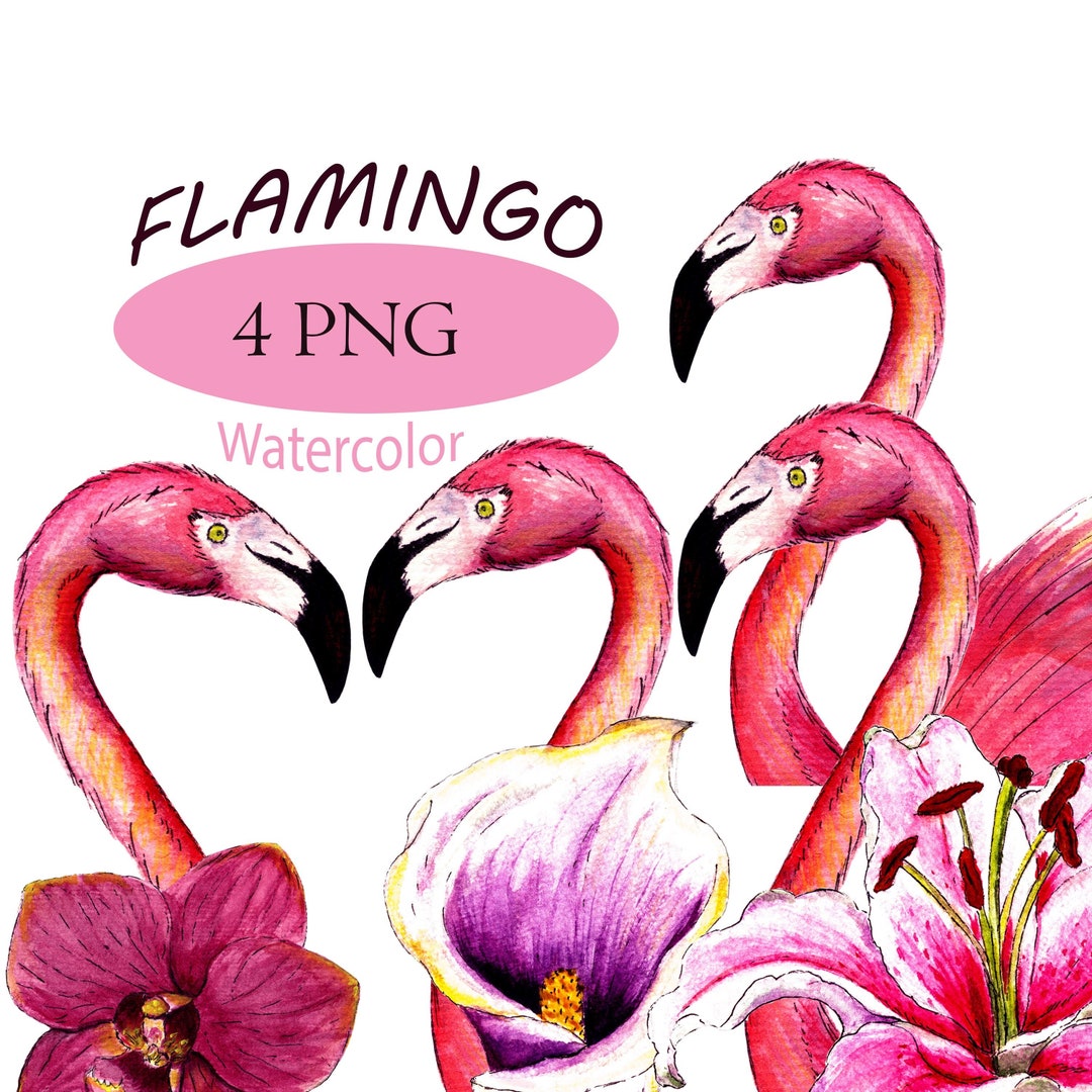 Watercolor Flamingo Clipart, Tropical Clipart, Pink Flamingo, Children ...