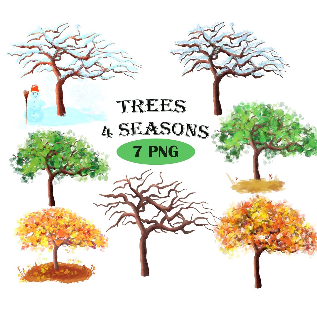 Trees Clipart 4 Seasons, 7 PNG Files, Forest Clipart, Art Four Seasons ...