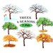 Trees Clipart 4 Seasons, 7 PNG Files, Forest Clipart, Art Four Seasons ...