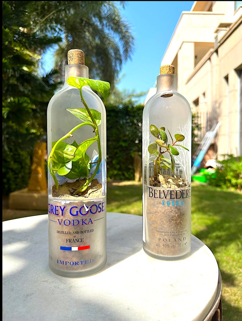 Bottle Garden | Grey Goose Gift Bottle Planter Pot | Repurposed Bottle ...