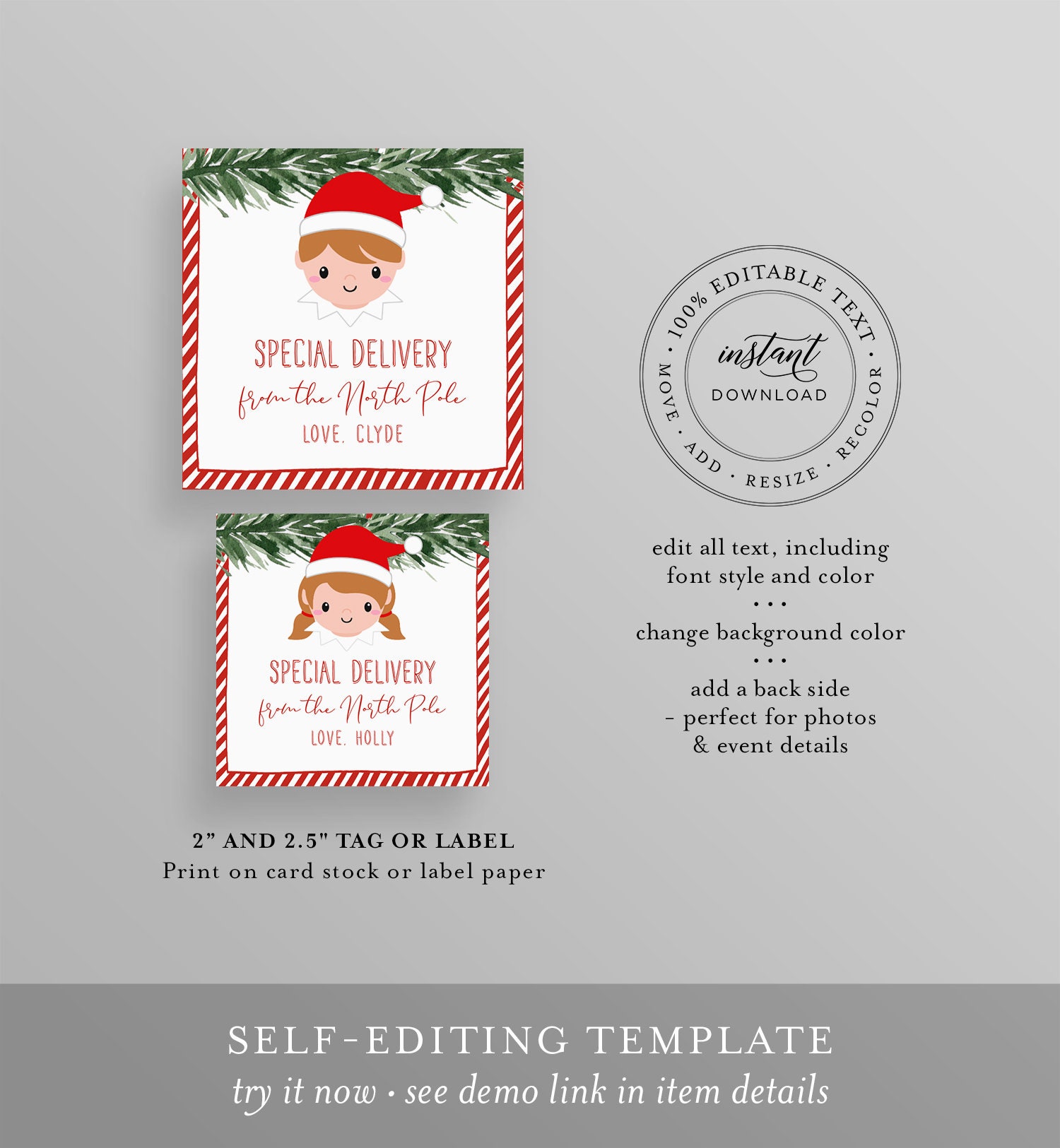 Elf Gift Tag Template Printable Elf Favor Tag Instant - Etsy