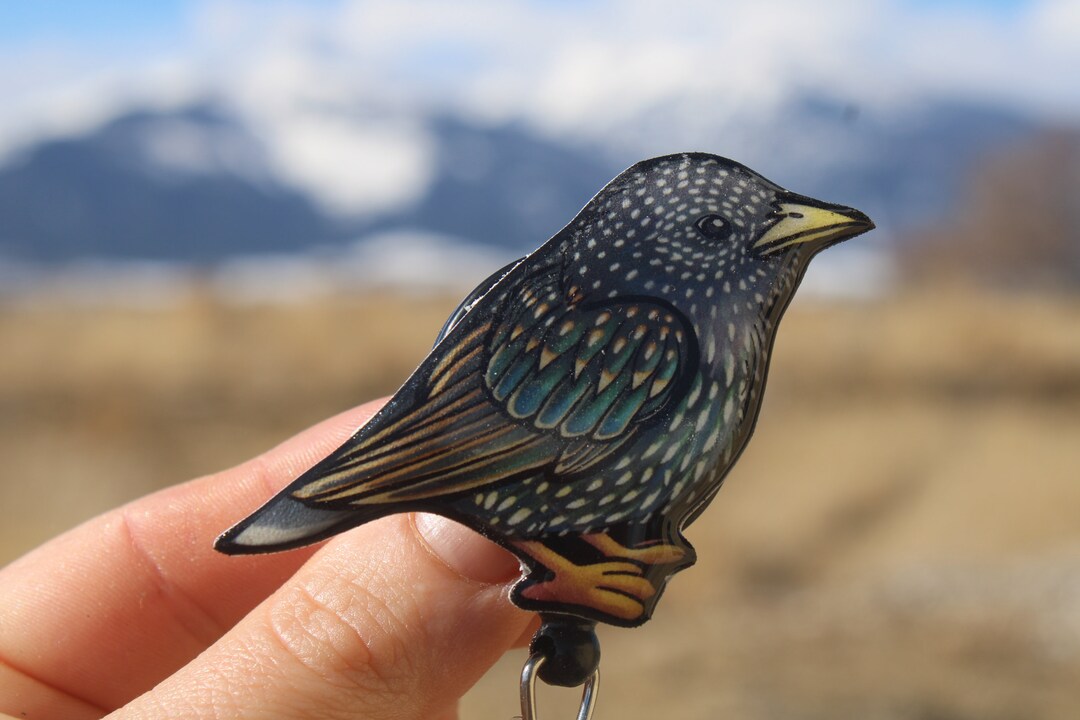 Starling Badge Reel Id Holder: Gift for Bird Lovers, Watchers, Vet ...