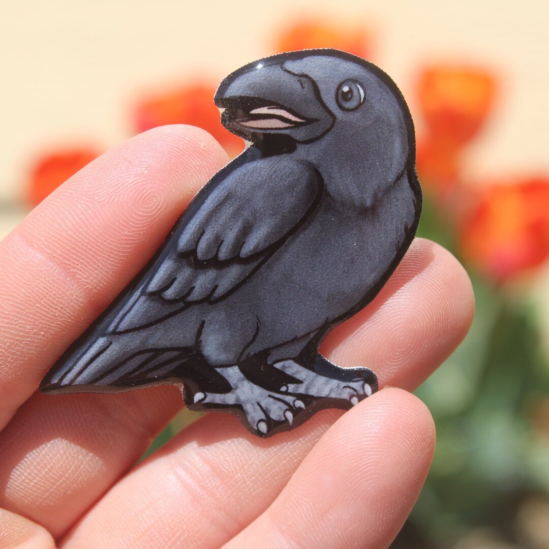 Crow Raven Magnet: Gift for Bird Lovers, Vet Techs, Veterinarians ...