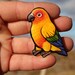 Budgie Magnet: Gift for Parakeet Bird Lovers, Vet Techs, Veterinarians ...