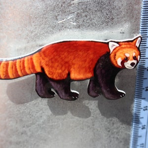 Red Panda Magnet: Gift for Red Panda Lovers Chinese Animal Cute Animal ...