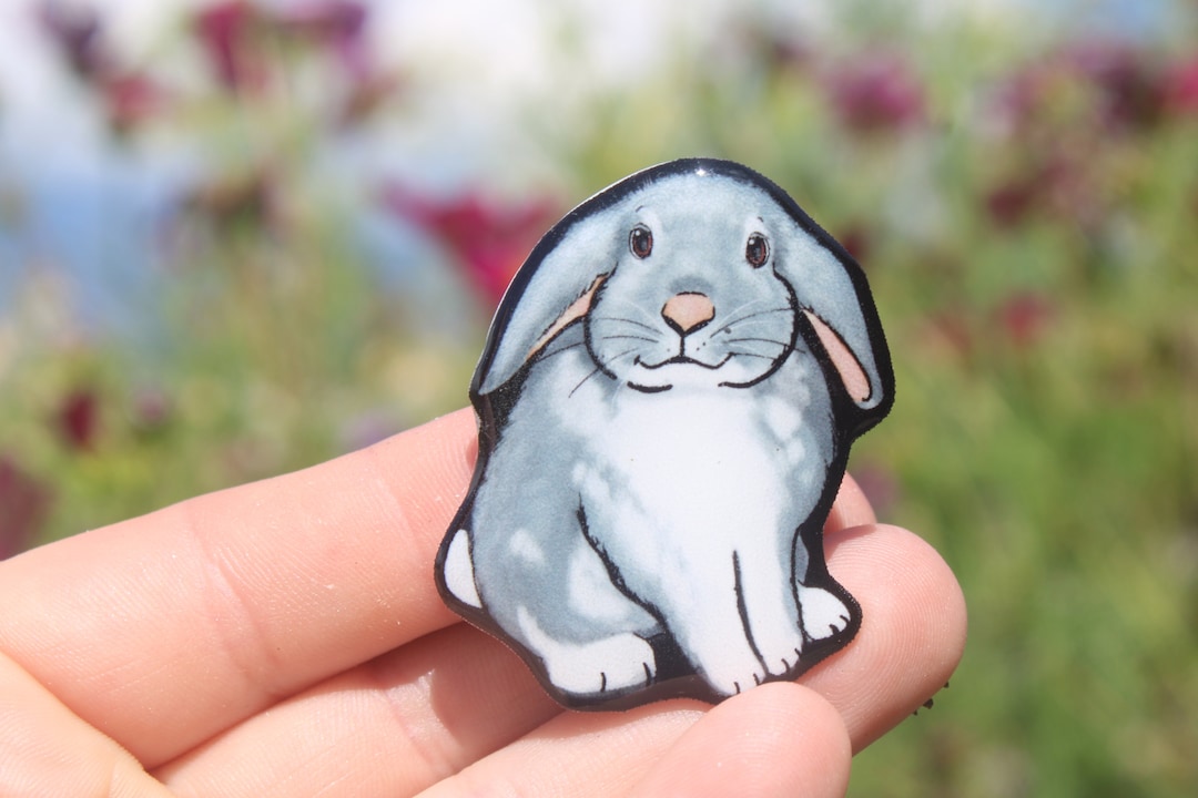 Bunny Rabbit Magnet: Gift for Rabbit Lovers, Vet Techs, Veterinarians ...