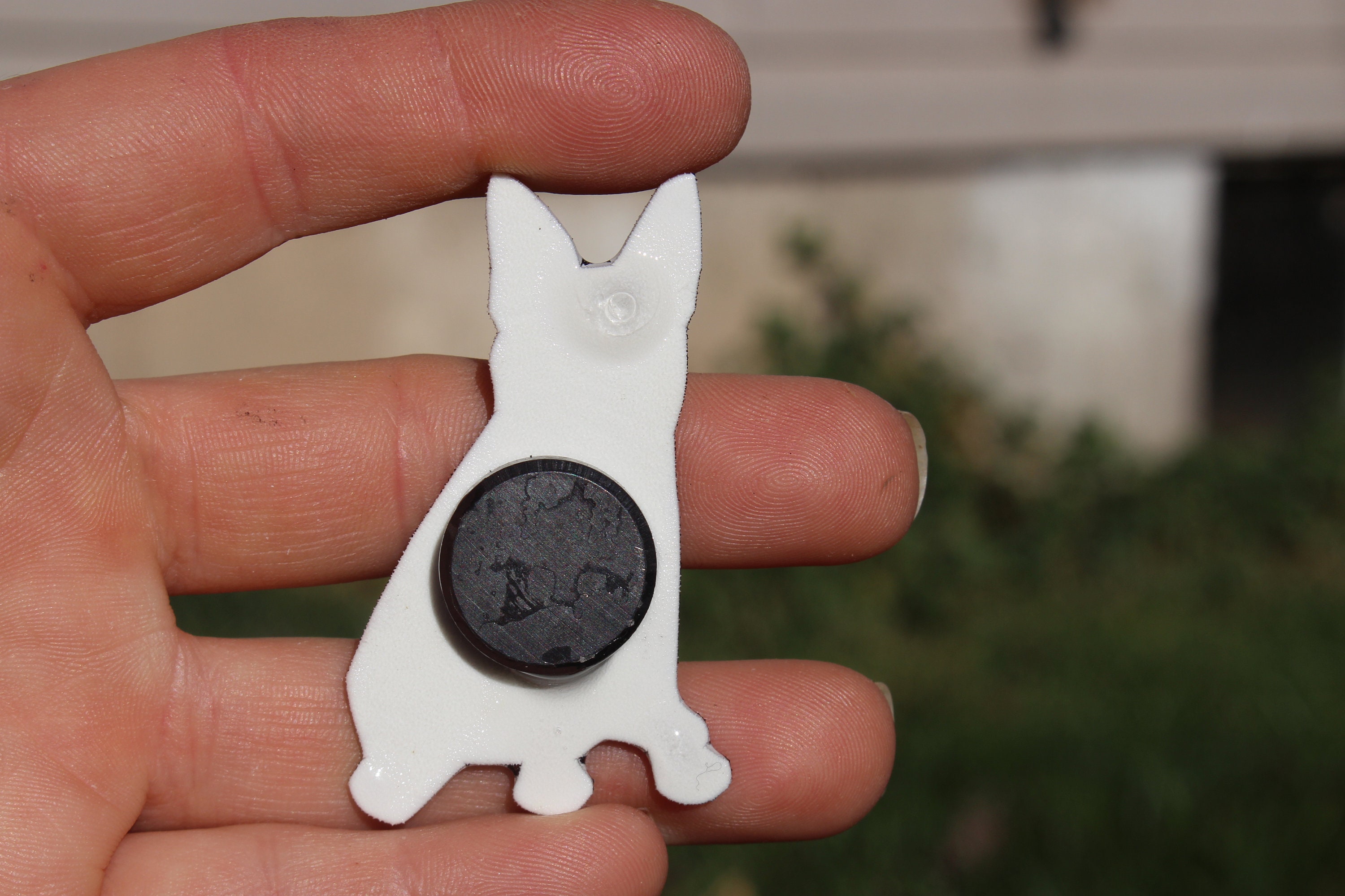 Blue Heeler Magnet: for Locker and Fridge Australian Cattle | Etsy