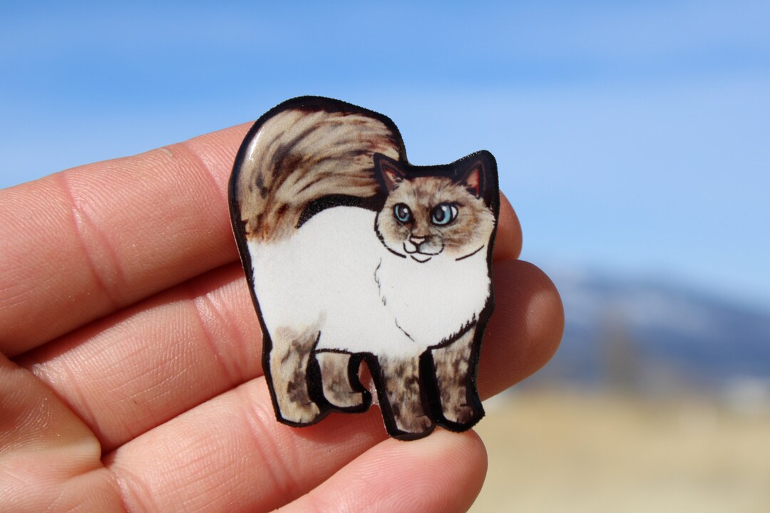 Tortoiseshell Ragdoll Cat Magnet: Gift for Torti Cat Lovers, Vet Techs ...