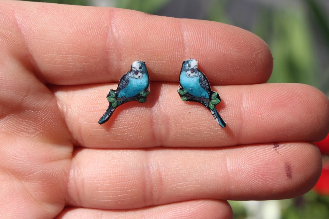Parakeet Budgie Earrings: Stainless Steel Posts for Sensitive Ears ...