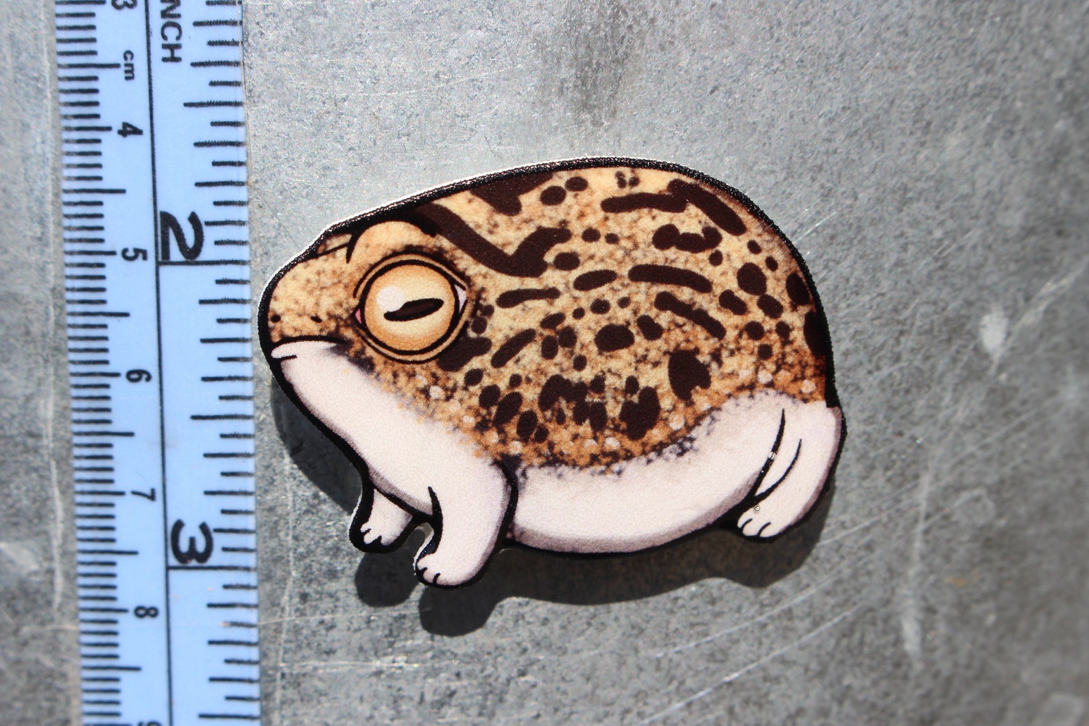 Desert Rain Frog Magnet Gift for Squeaky Screaming Frog - Etsy