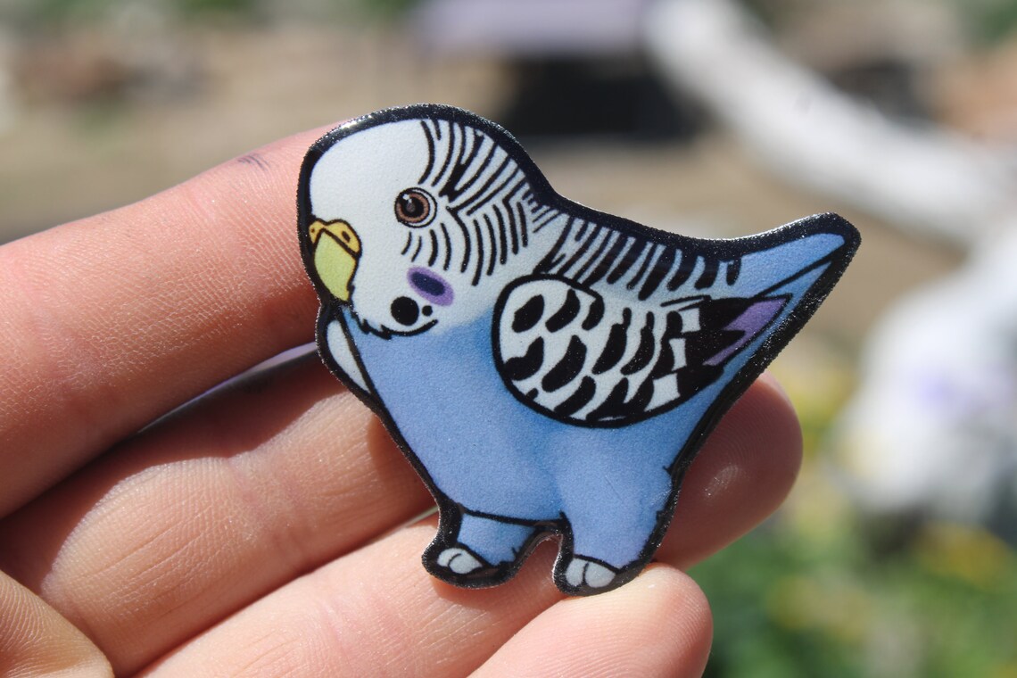 Budgie Parakeet Magnet: Gift for Bird Lover, Vet Tech, Veterinarian ...