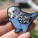 Budgie Parakeet Magnet: Gift for Bird Lover, Vet Tech, Veterinarian ...