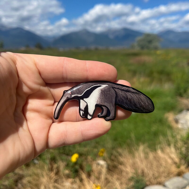 Anteater - Etsy