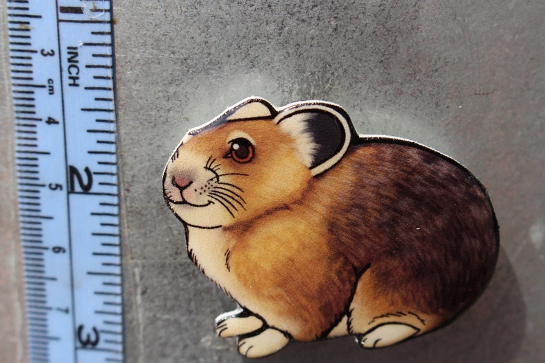 Pika Magnet: Gift for Pika Lovers or Pika Loss Memorial Cute Animal ...