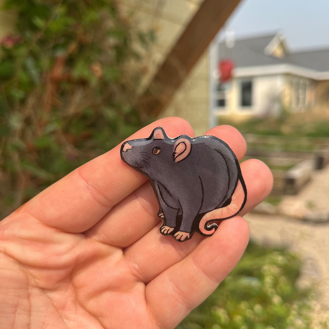 Rat Magnet: Gift for Rat Lovers, Vet Techs, Veterinarians, Loss ...