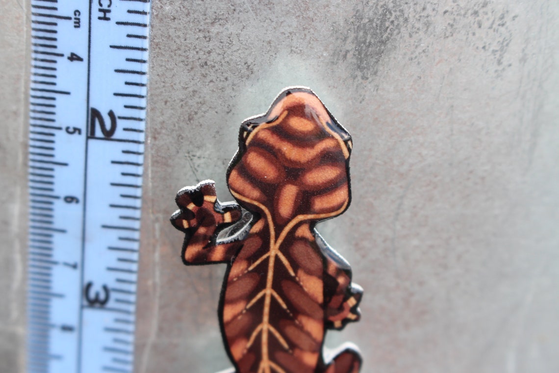 Leaf Tailed Gecko Magnet Gift for Lizard Lover for Locker Car | Etsy