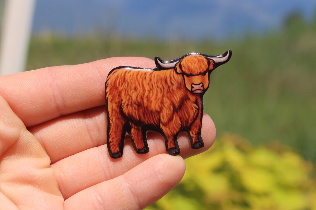 Highland Cow Magnet: Gift for Beef Cattle Lover, Vet Tech ...