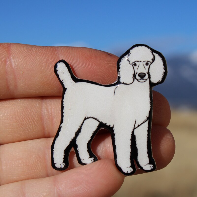Poodle Magnet - Etsy