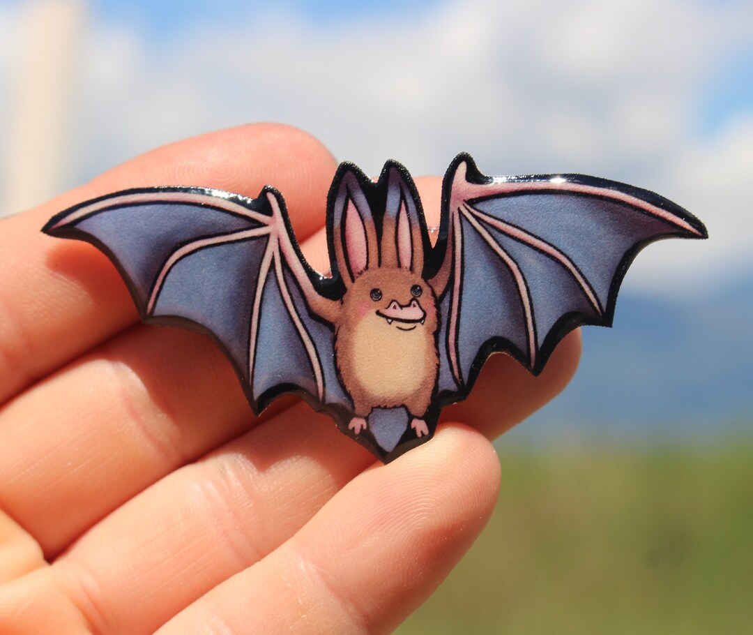 Vampire Bat Magnet: Gift for Bat Lovers, Vet Techs, Veterinarian ...