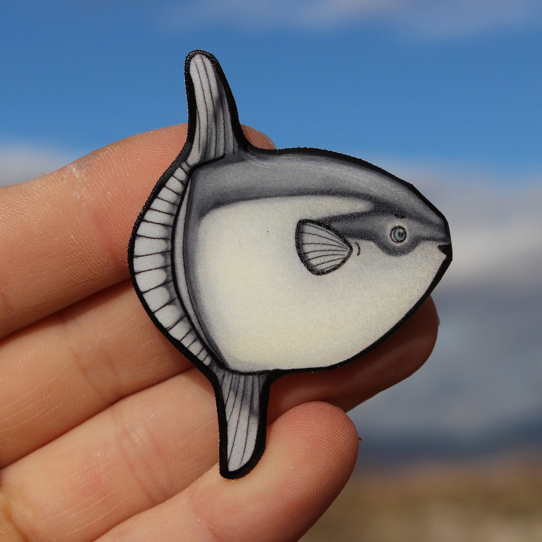 Ocean Sunfish Magnet: Gift for Fish Lovers, Gamefisher, Fishermen ...