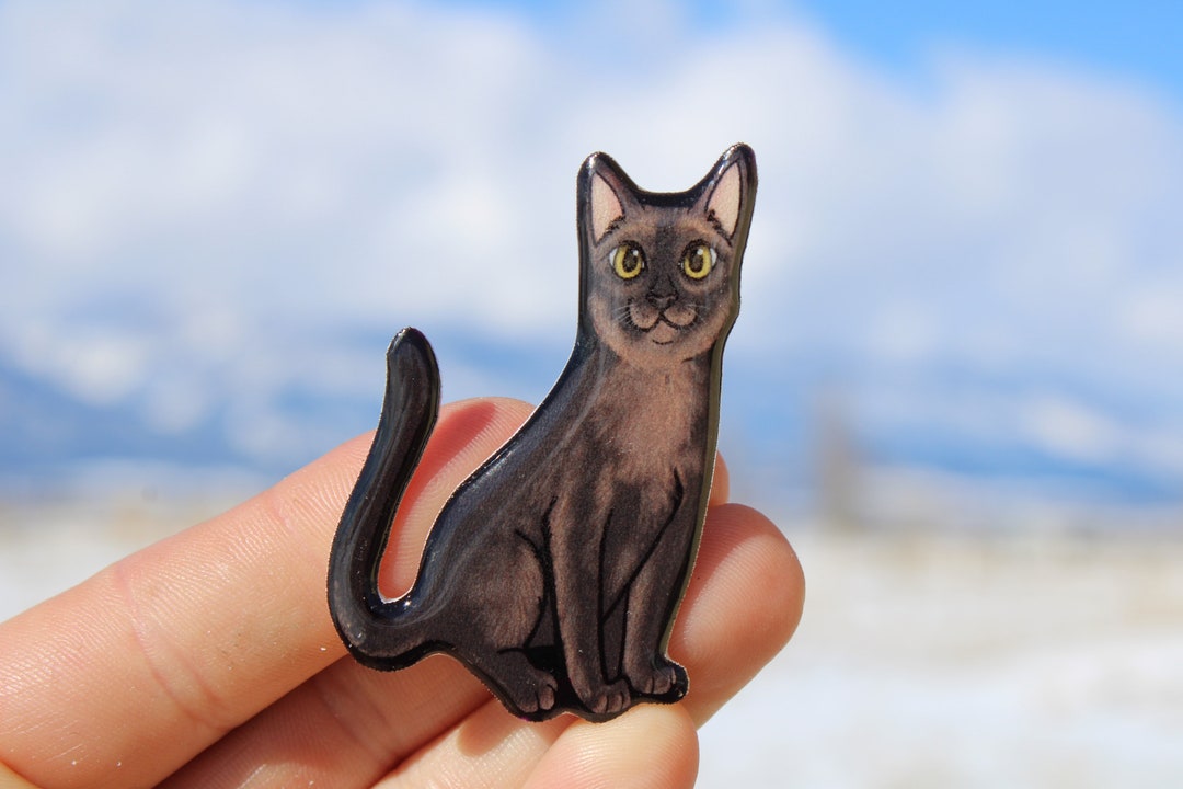 Burmese Cat Magnet: Gift for Cat Lovers, Vet Techs, Veterinarians ...