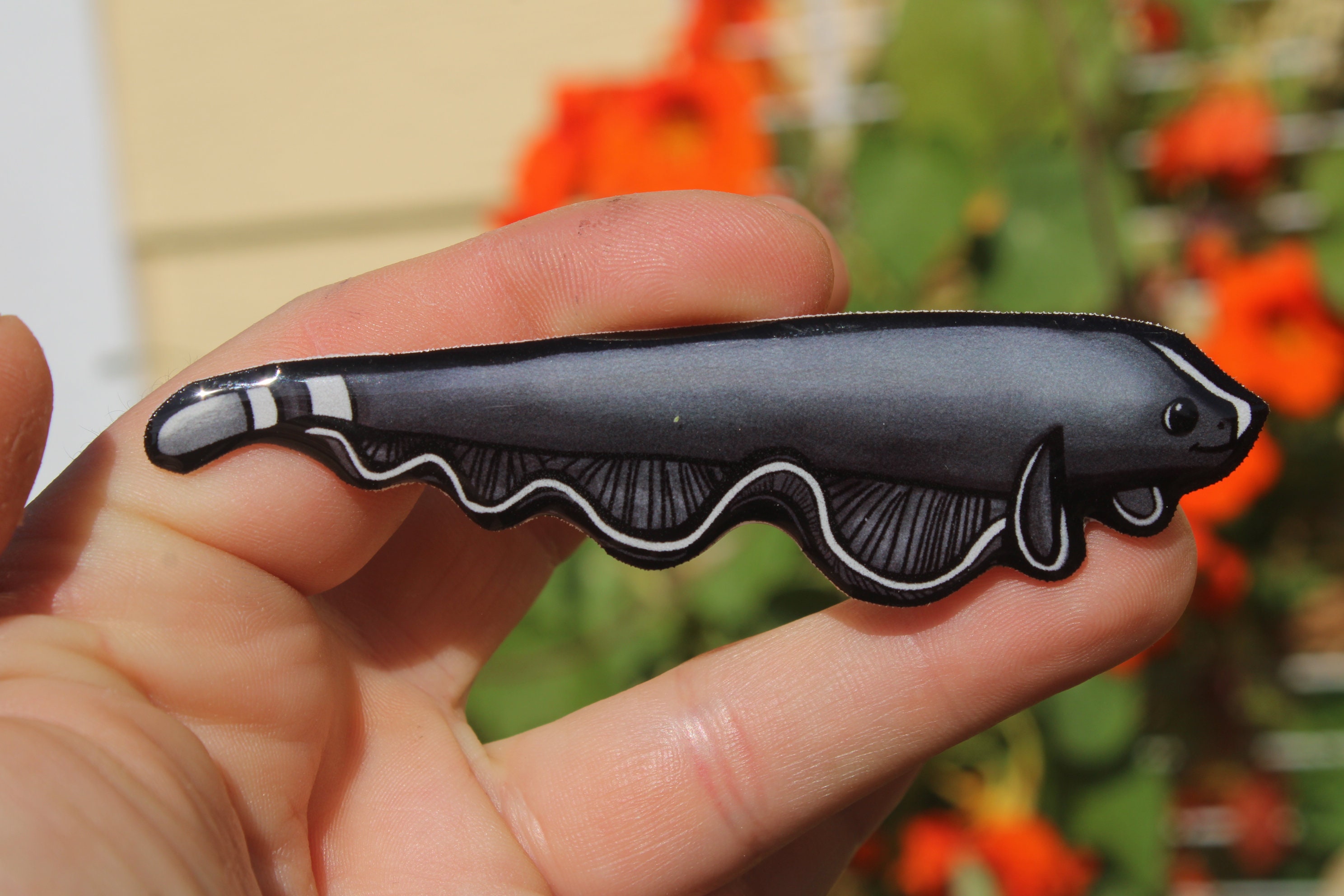 Black Ghost Knife Fish