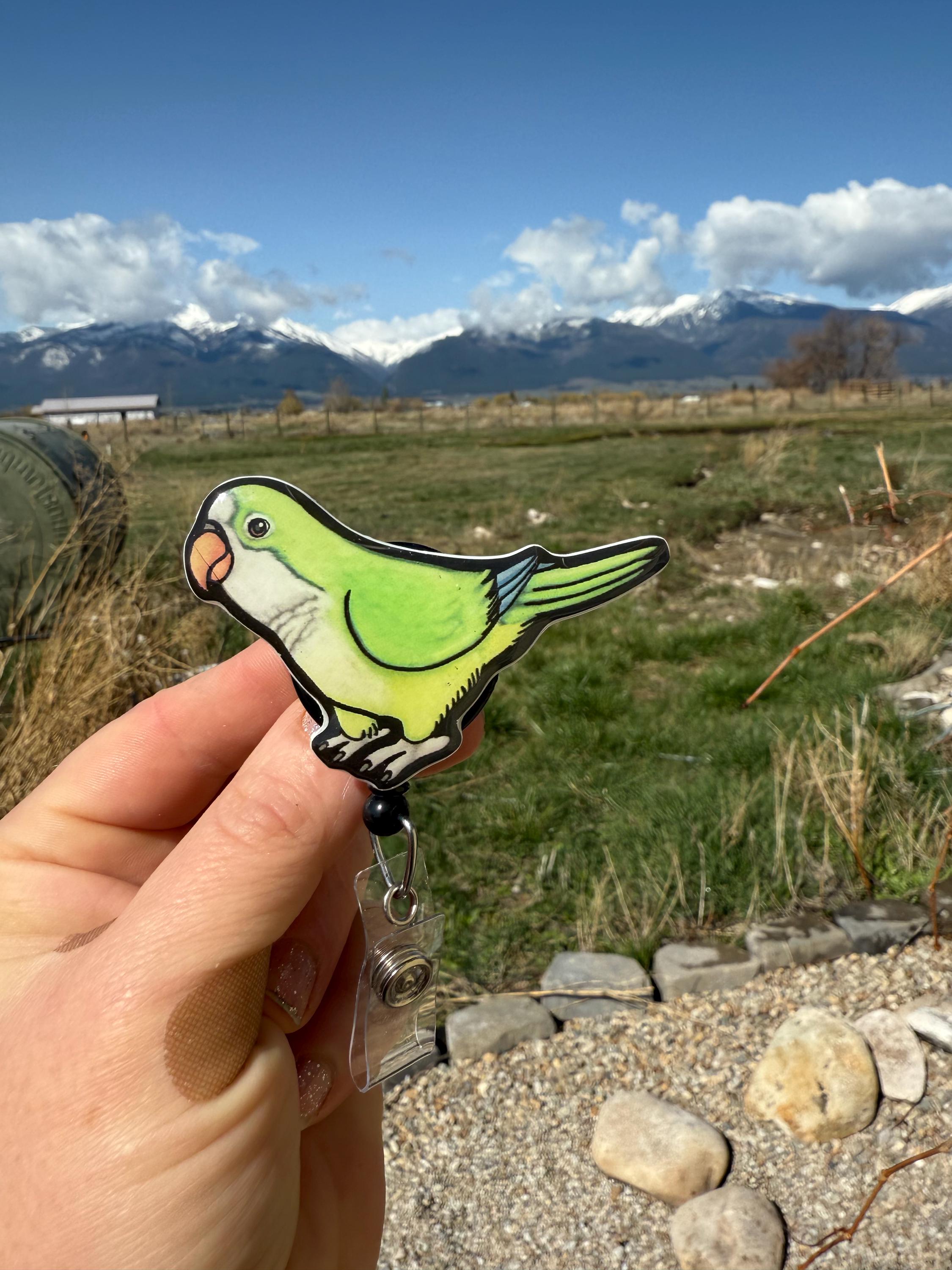 Quaker Bird Badge Reel ID Holder: Gift for Bird Lovers, Nurses, Vet ...