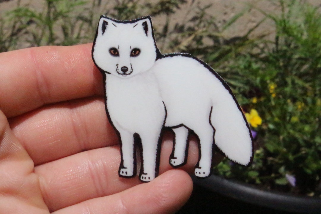 Arctic Fox Magnet: Gift for Fox Lovers or Fox Art Cute Arctic Animal ...