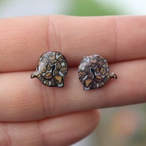 Albino Ball Python Earring : Stainless Steel Posts for Sensitive Ears ...