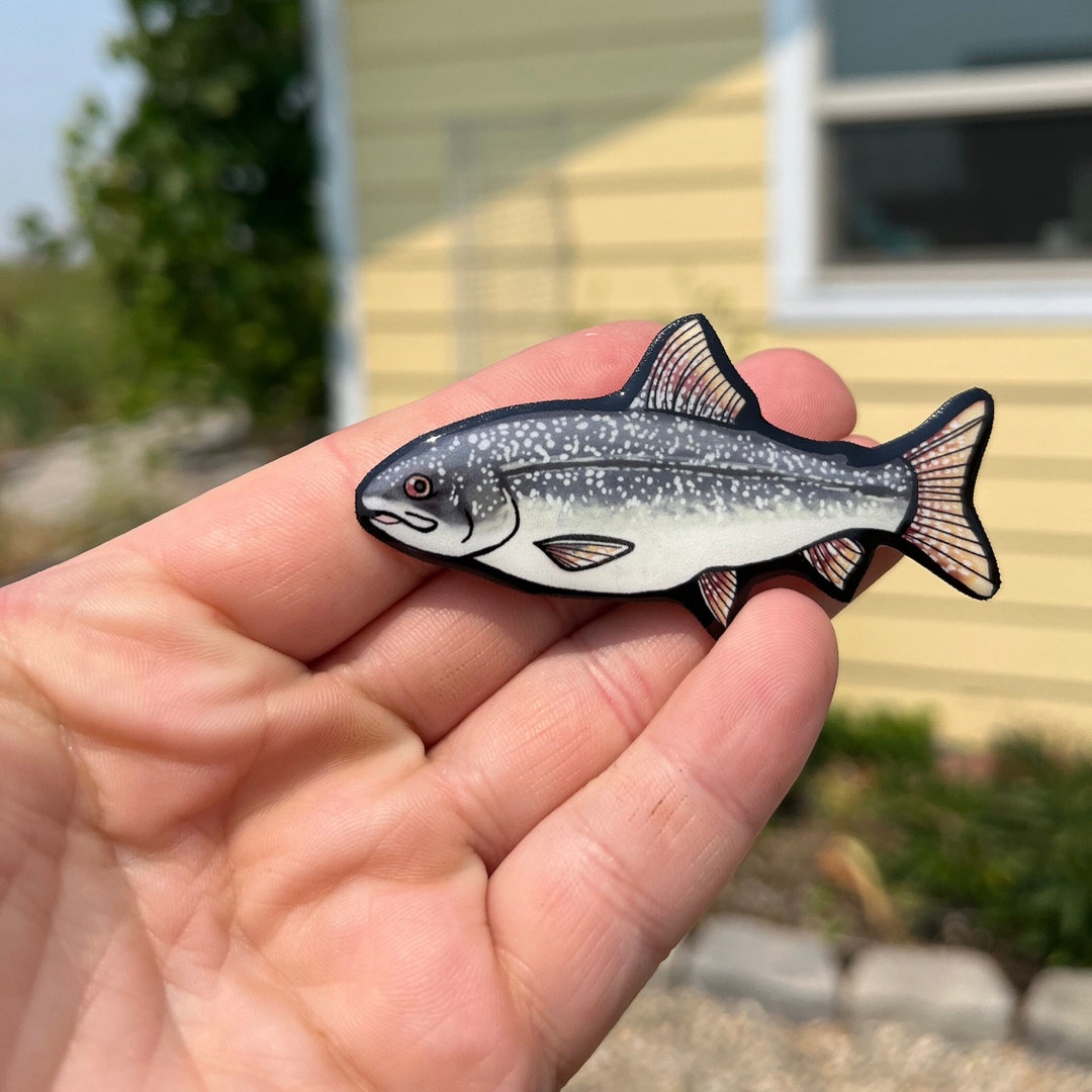 Lake Trout Magnet: Gift for Fishing Man or Women, Dad, Vet Tech Gift ...