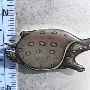 Turtle Magnet Gift for Soft Shelled Turtle Lovers or Turtle Loss ...