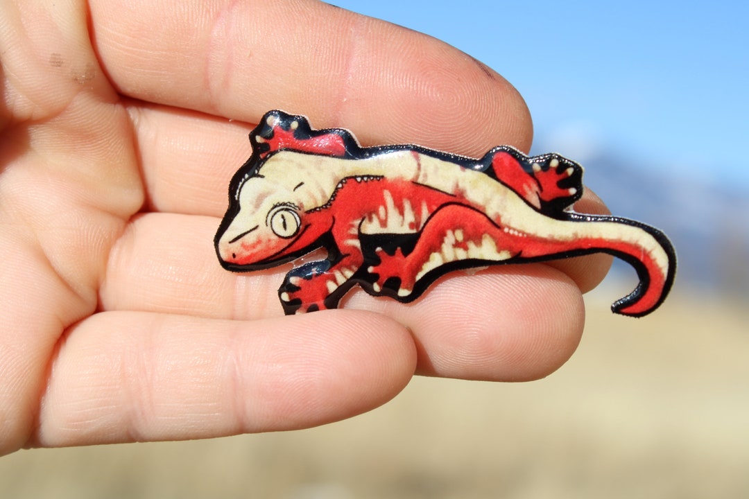 Crested Gecko Magnet: Gift for Gecko Lover, Vet Tech, Veterinarian ...