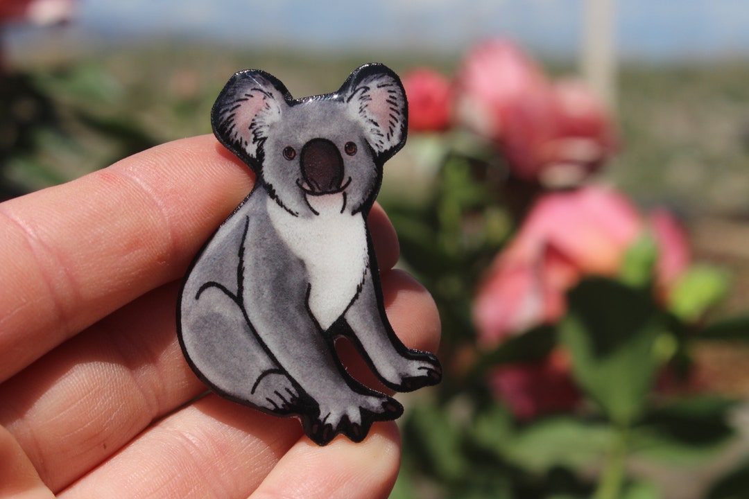 Koala Magnet : Gift for Koala Lover, Zookeeper, Vet Techs ...