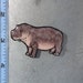 Hippo Magnet: Gift for Hippopotamus Lover, Vet Tech, Veterinarian ...