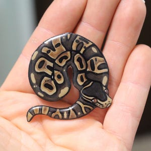 Ball Python Magnet Gift for snake lover or python loss | Etsy