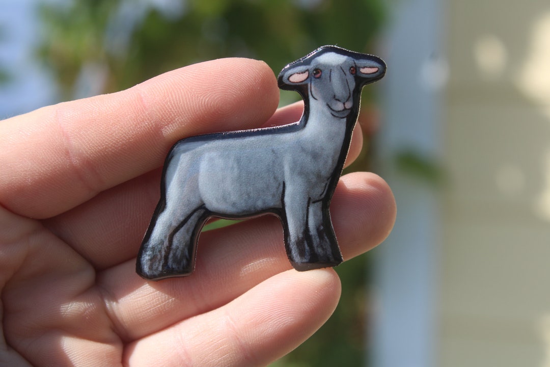 Sheep Magnet : Gift for Sheep Lovers, Vet Techs, Farmers, Veterinarians ...