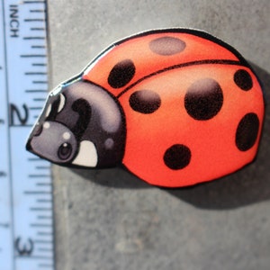 Ladybug Magnet: Gift for Bug Lovers Cute Bug Animal Magnets for Locker ...
