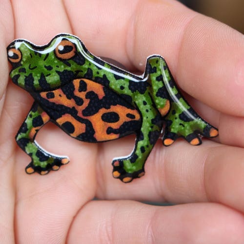 Tomato Frog Magnet Gift for Frog Lovers or Frog Loss Memorial | Etsy