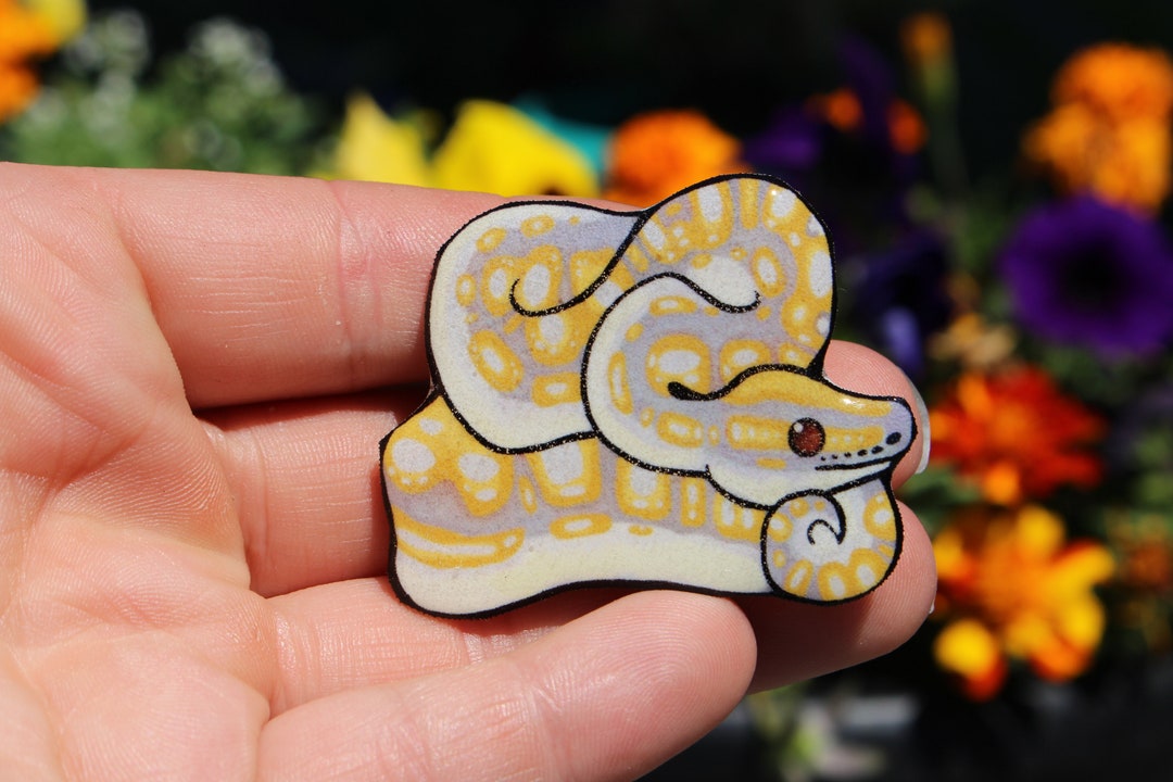 Ball Python Magnet Gift for Snake Lover or Albino Ball Python Loss ...