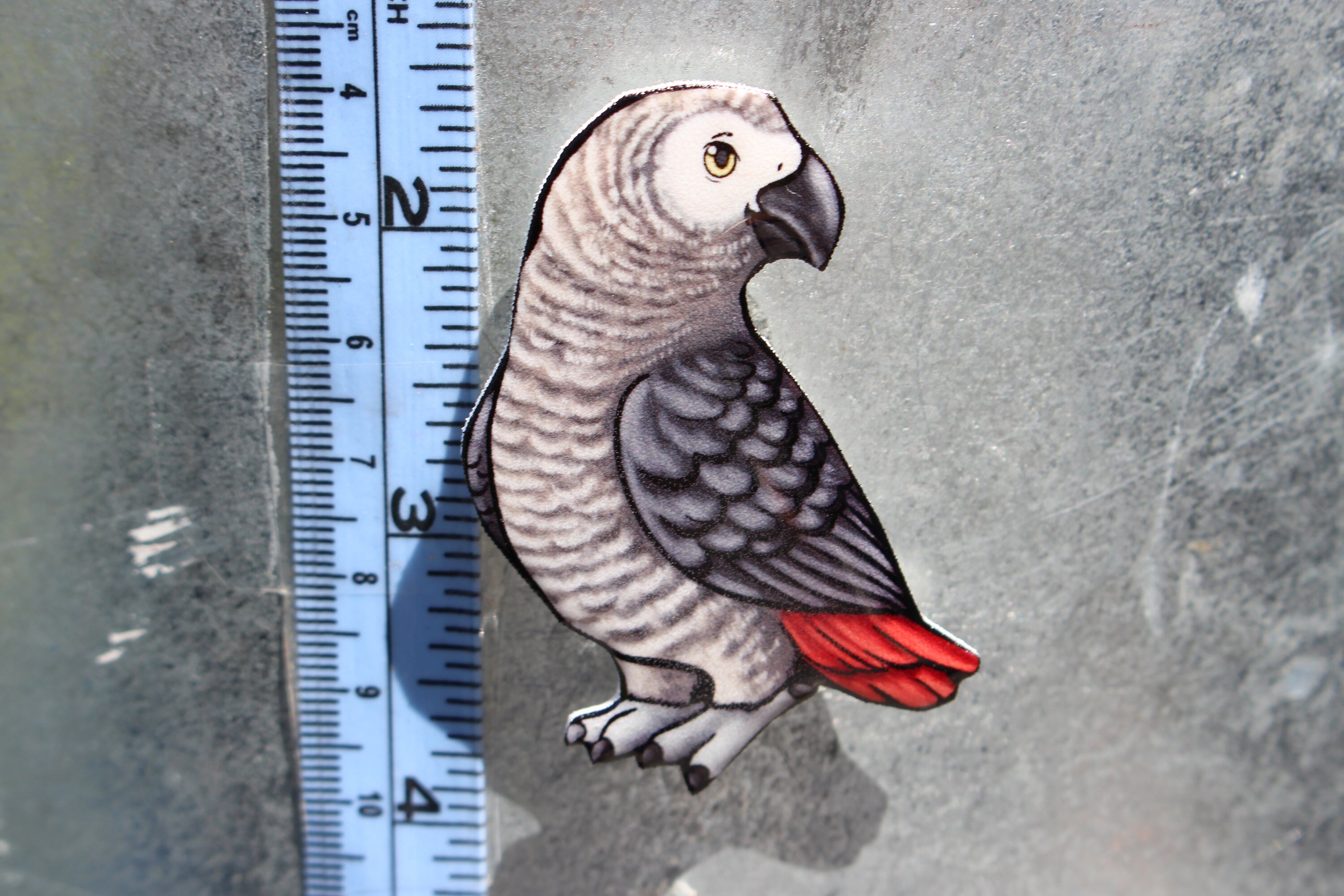 African Grey Parrot Magnet: Gift for Bird Lovers Vet Techs - Etsy