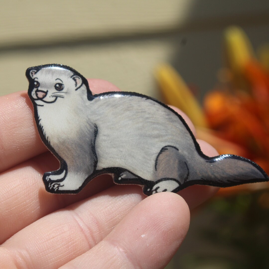 Ferret Magnet #7: Gift for Ferret Lovers, Vet Techs, Veterinarian ...