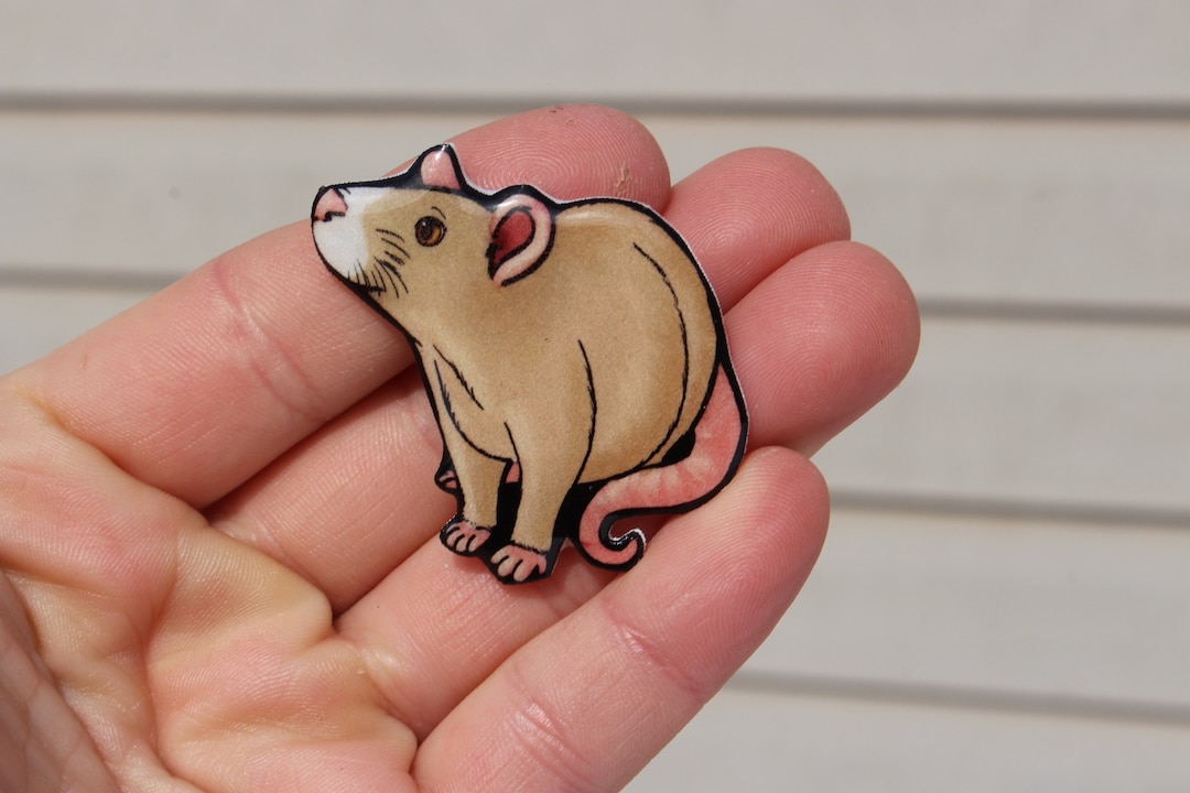 Rat Magnet: Gift for Rat Lover or Rat Loss Memorial Cute Animal Magnets ...